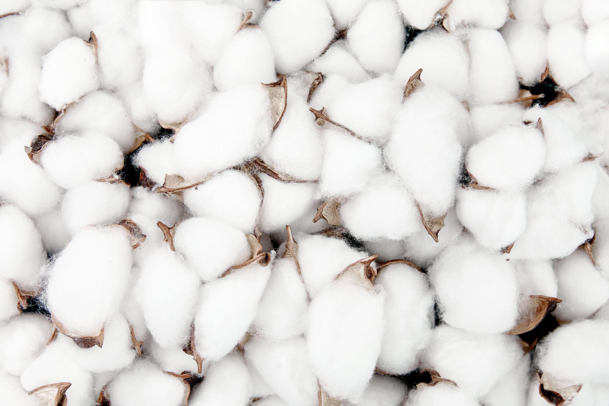 What are the different types of cotton grown in India?